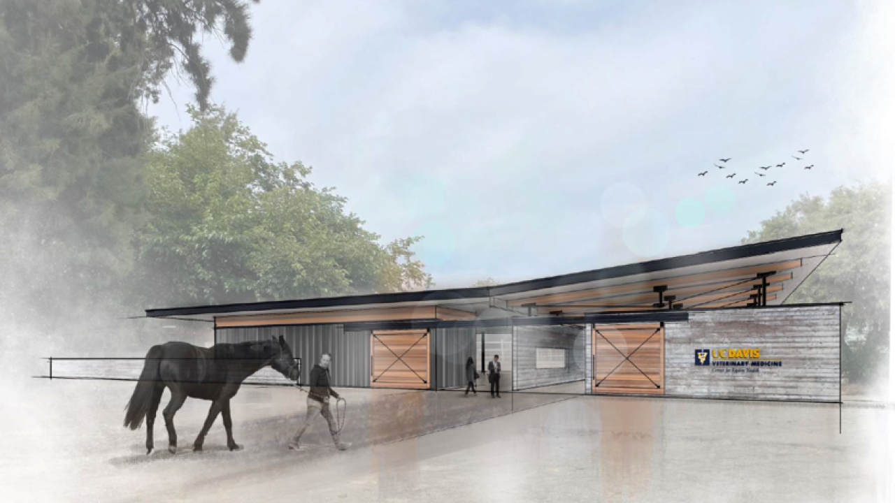 Equine Performance and Rehabilitation Center | Design and Construction Management
